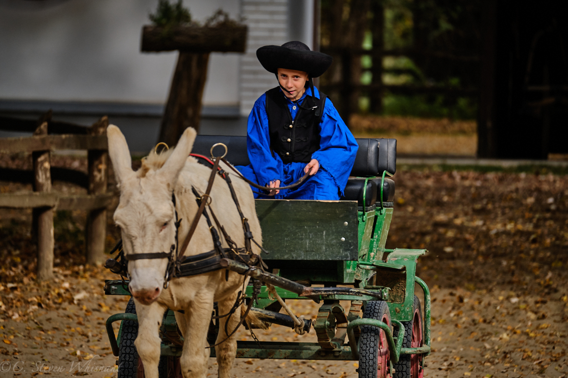 No Better Life: The Csikós