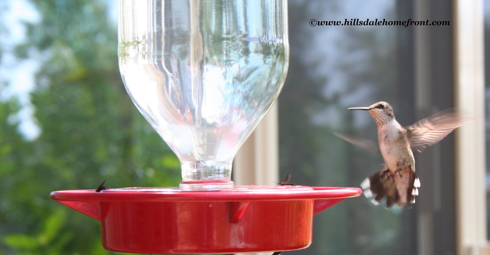 Happy Friday - Family Fun Journal