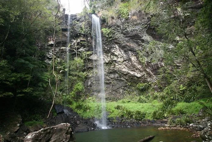 Springbrook National Park, Australia (with Map & Photos)