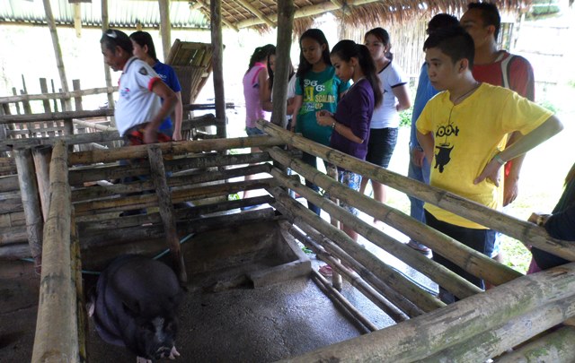 mybeautifulILOILO: AGRIBYAHE