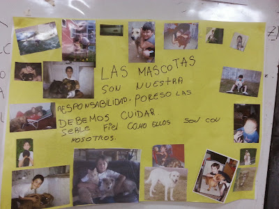 Aprendiendo Ciencias: Mural de las mascotas