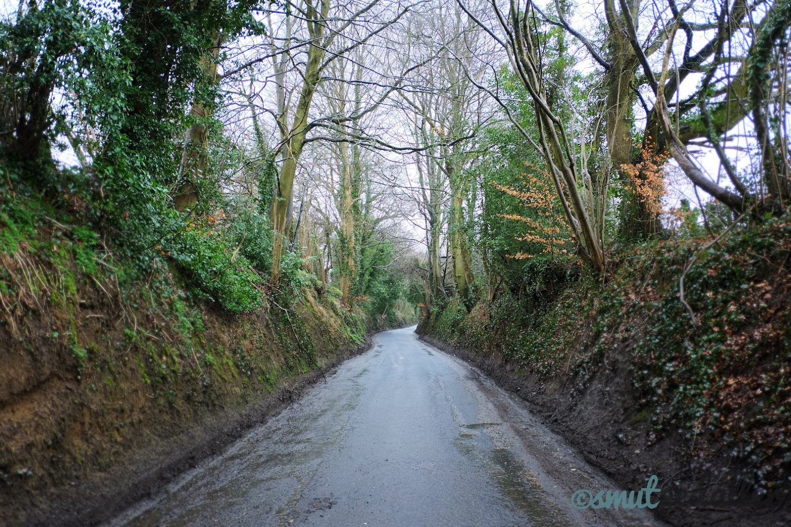 The Smut Pedaller: Surrey Hills and Winterfold Forest