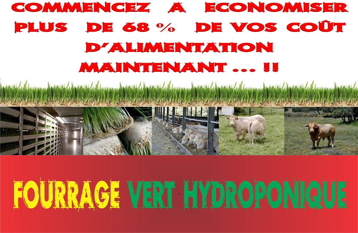 Formation en Fourrage vert Hydroponique Et conception des unites de ...