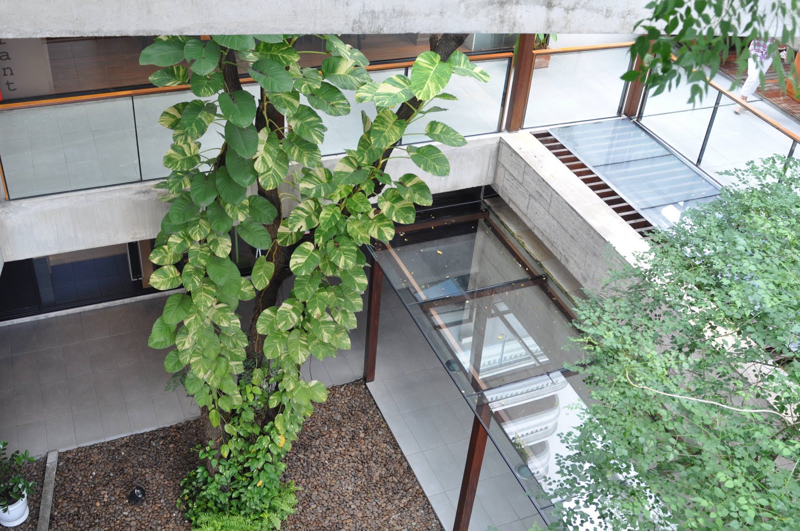 Bangkok 2011 - The 49 Terrace