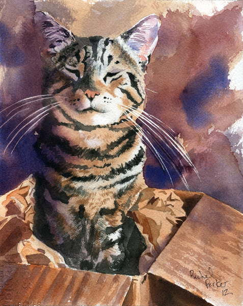 Rachel's Studio Blog: New Cat Original Art Paintings!