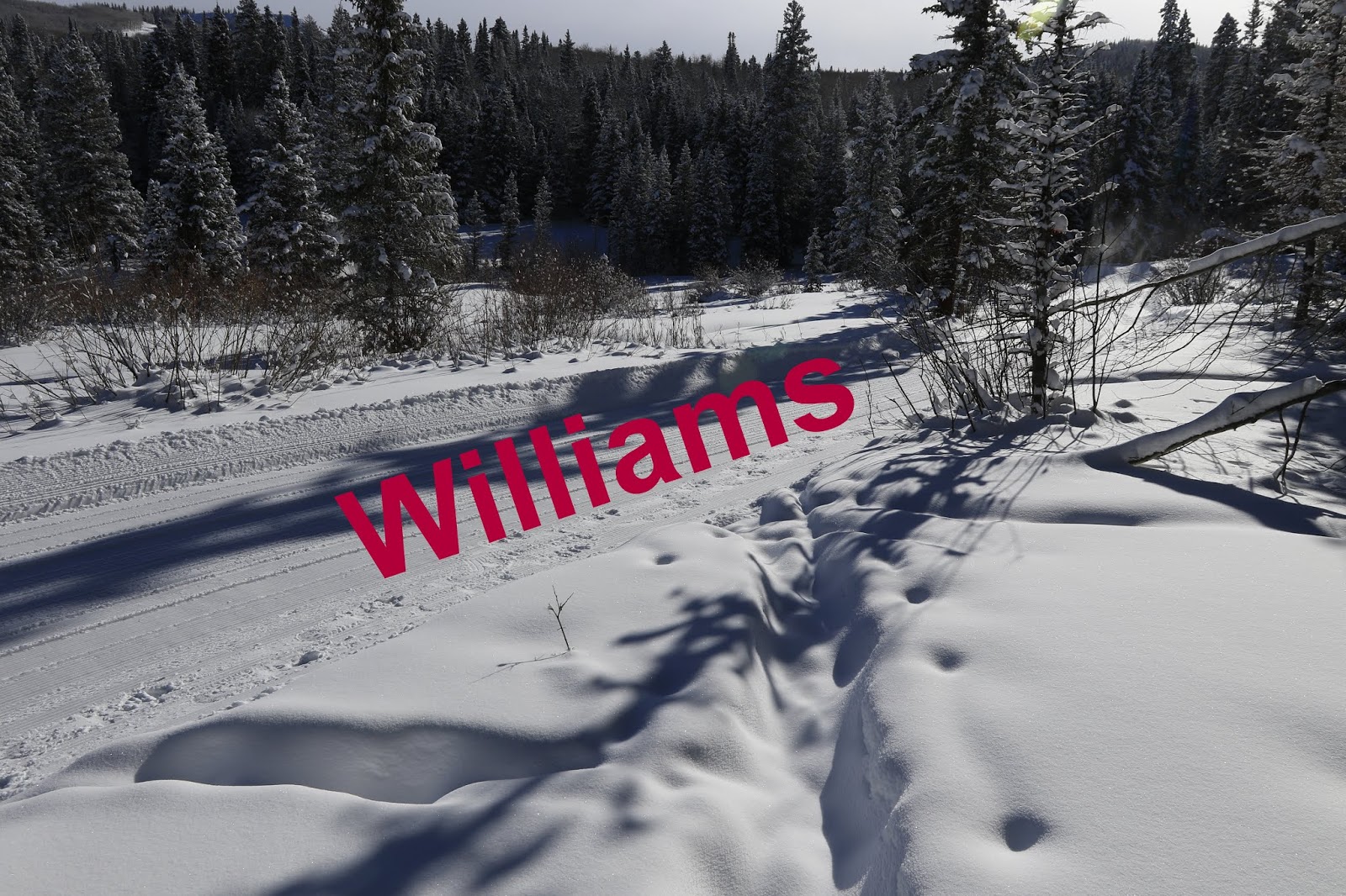 gjhikes.com: Upper Meadow Loop