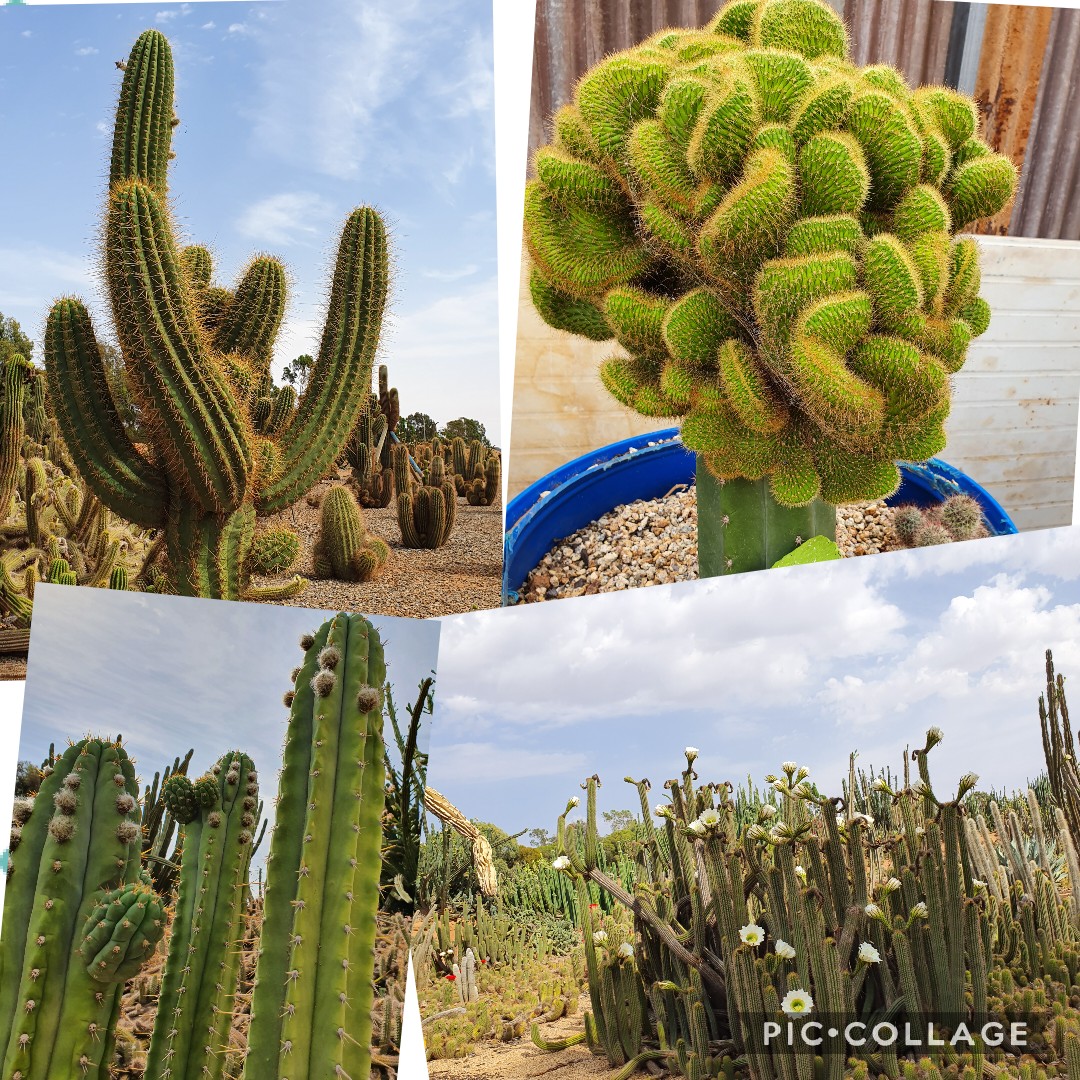 Midlifewanderlust: 2020