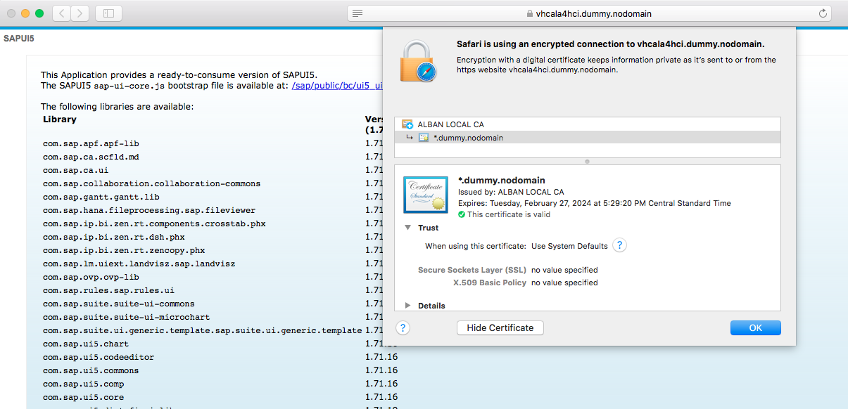 Sap Abap Central Resolve Annoying Self Signed Ssl Certificate Issue On Abap 1909 Developer