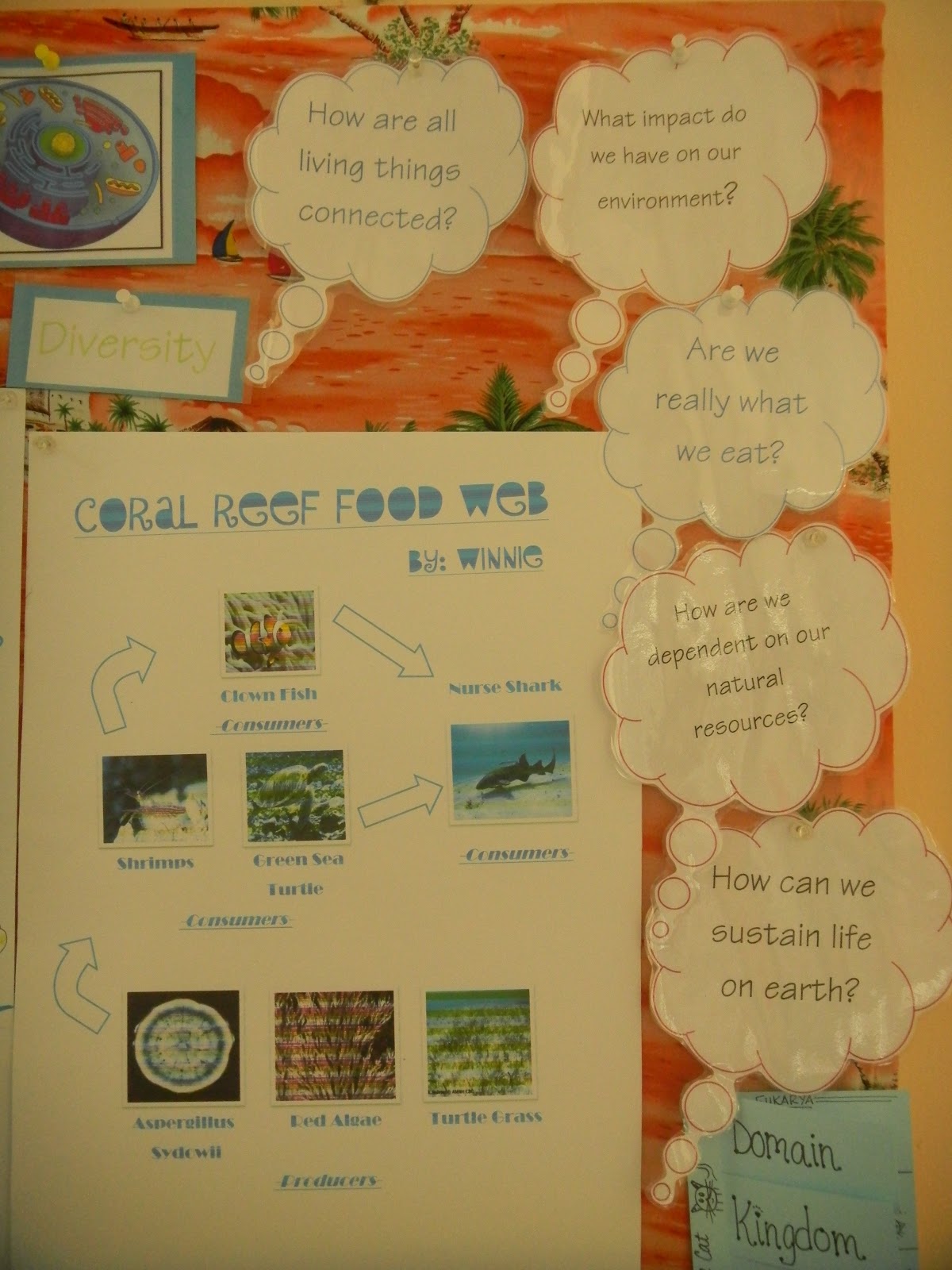 The Cultural Classroom: Food Web Poster Project