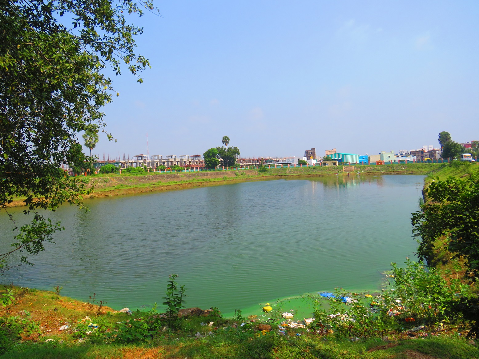 Vengaivasal Pond (Waterbodies of Chennai - 19)