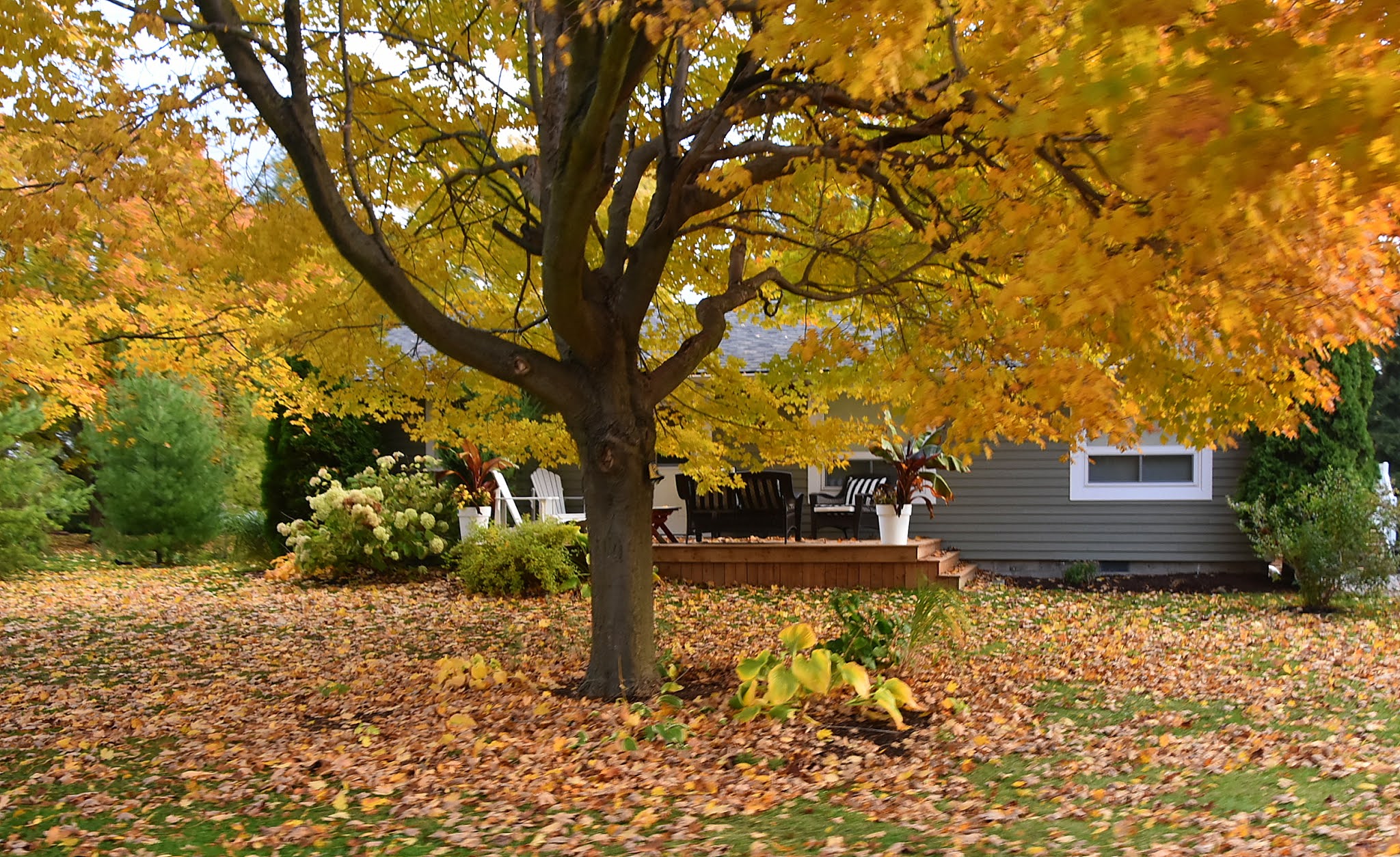 TRAVEL WITH THE BAYFIELD BUNCH:)): WE ARE NOT ALONE HERE IN THE UNIVERSE