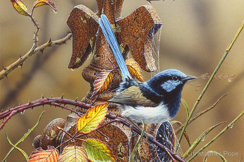 7 das Artes: As incríveis pinturas de Christopher Pope.