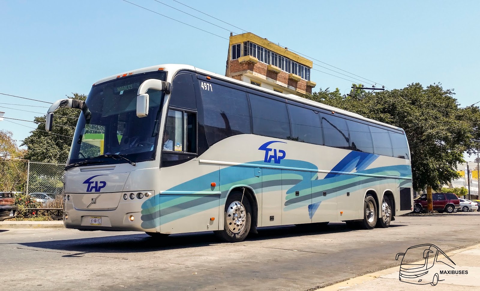 MAXIBUSES: TRANSPORTES Y AUTOBUSES DEL PACÍFICO (TAP)