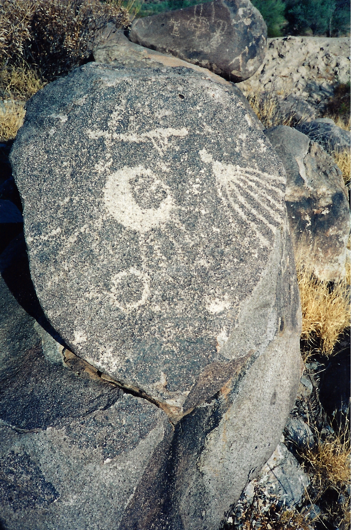 Rock Art Blog: A POSSIBLE COMET RECORDED AT CABORCA, SONORA, MEXICO: