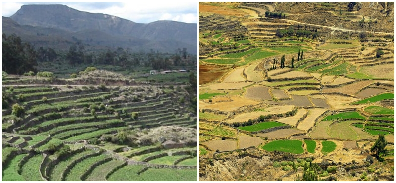 APUNTES - REVISTA DIGITAL DE ARQUITECTURA: LOS ANDENES PRE HISPANICOS ...