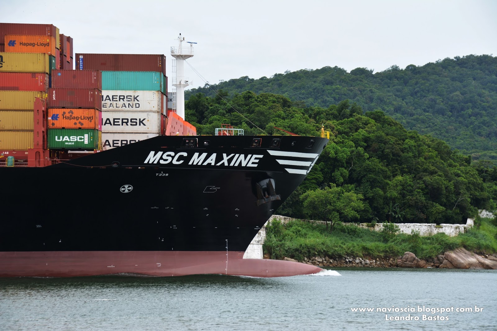 Navios de Santos & CIA: Navio MSC MAXINE