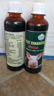 HOW TO ACHIEVE FASTER GROWTH IN PIGLETS: PIG FARMING-ZAVS