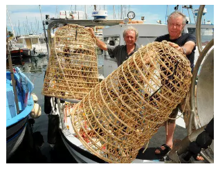 LE CORMORAN. : SCIENCES et TECHNIQUES.