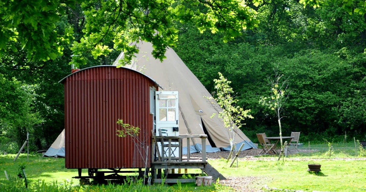CANOPY & STARS GETAWAY AT KNEPP WILDLAND SAFARI | WILD & GRIZZLY