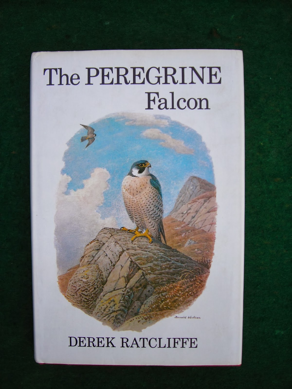 Derby Cathedral Peregrine Project - 2022: Writing about peregrines ...