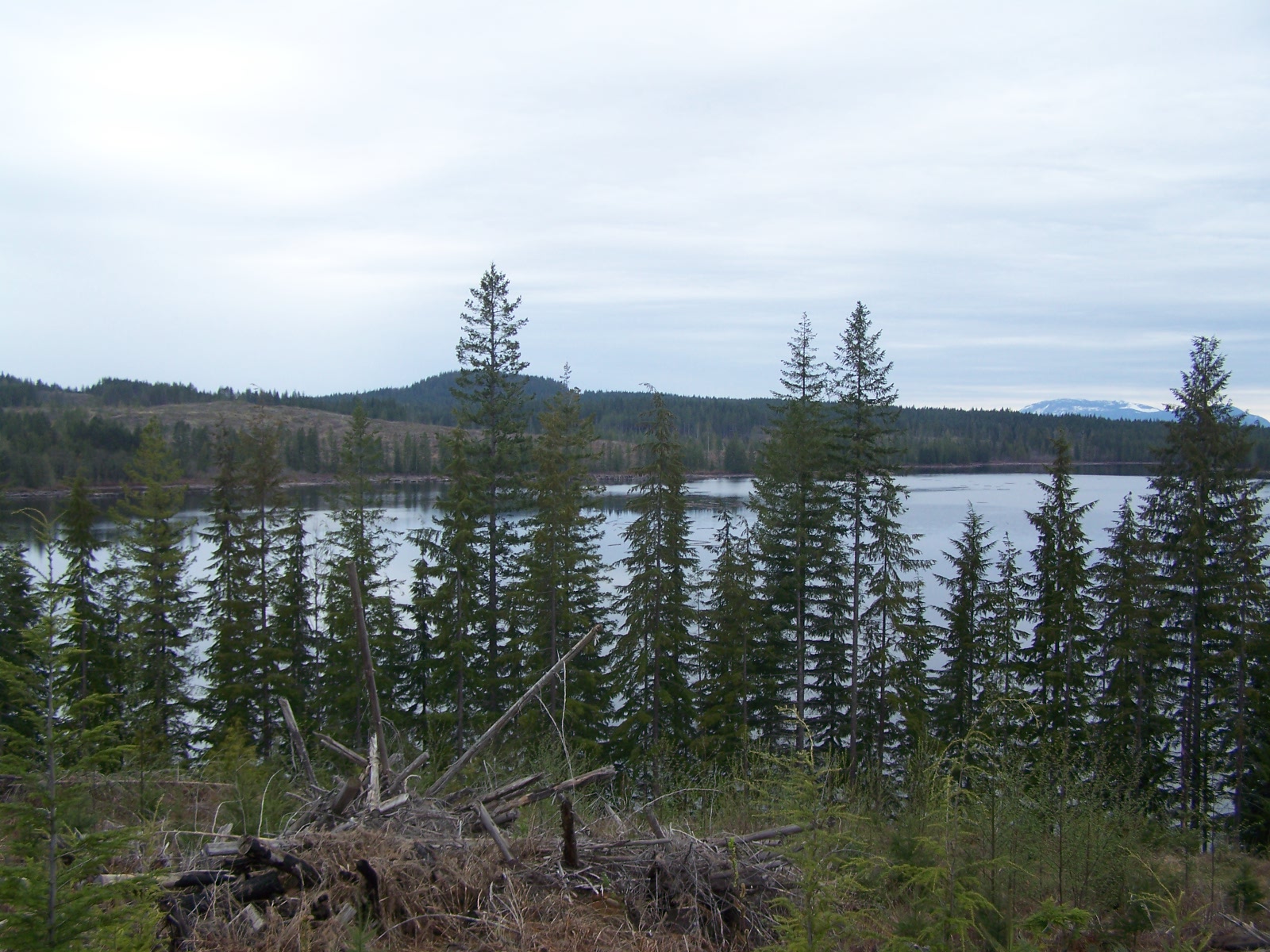 ARE YOU OUT THERE? SEARCHING FOR SASQUATCH: Gooseneck Lake Investigation