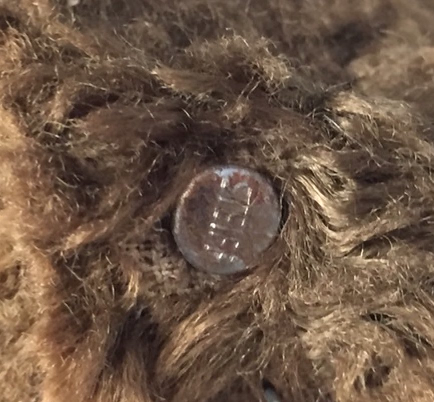 MY STEIFF LIFE: This Distinctive Steiff Teddy Baby Is One International ...