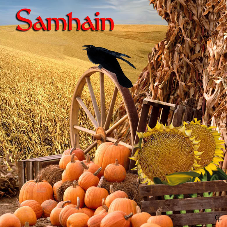 SilentOwl: Samhain. Oiche Shamhna.