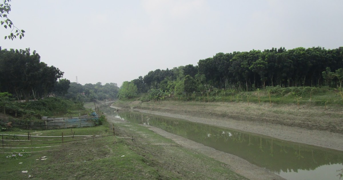 Rajbari District: The Part Of Picture in pangsha Upazila(Rajbari)