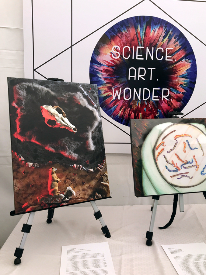 Science Art Wonder