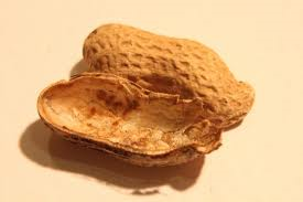 Living in the Shadow of His Hand: An Empty Peanut Shell