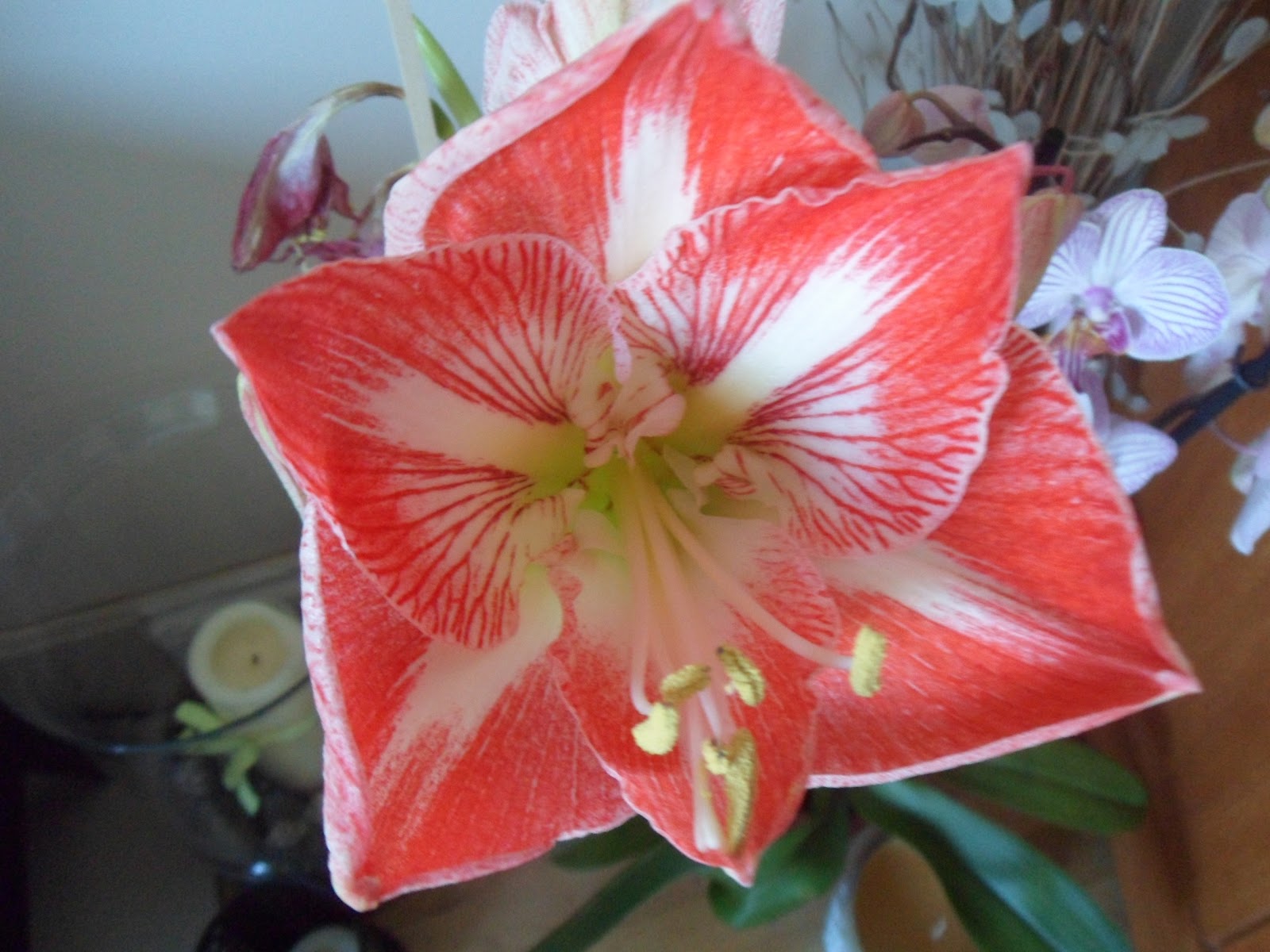 Poppy Patchwork: Morning outside