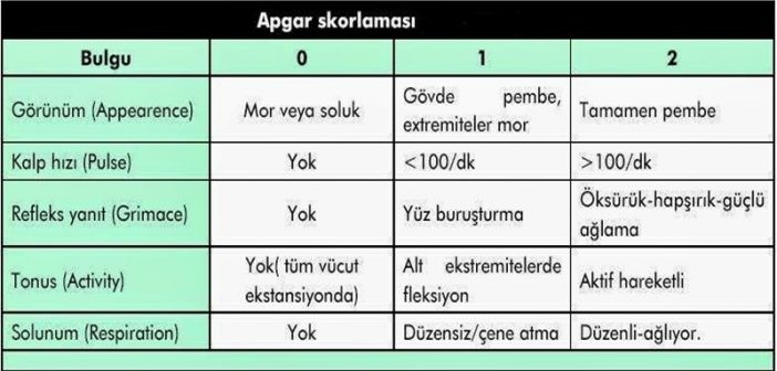 Pediatrik Günceller: DOĞUM ODASINDA YENİDOĞANIN İLK MUAYENESİ, APGAR ...