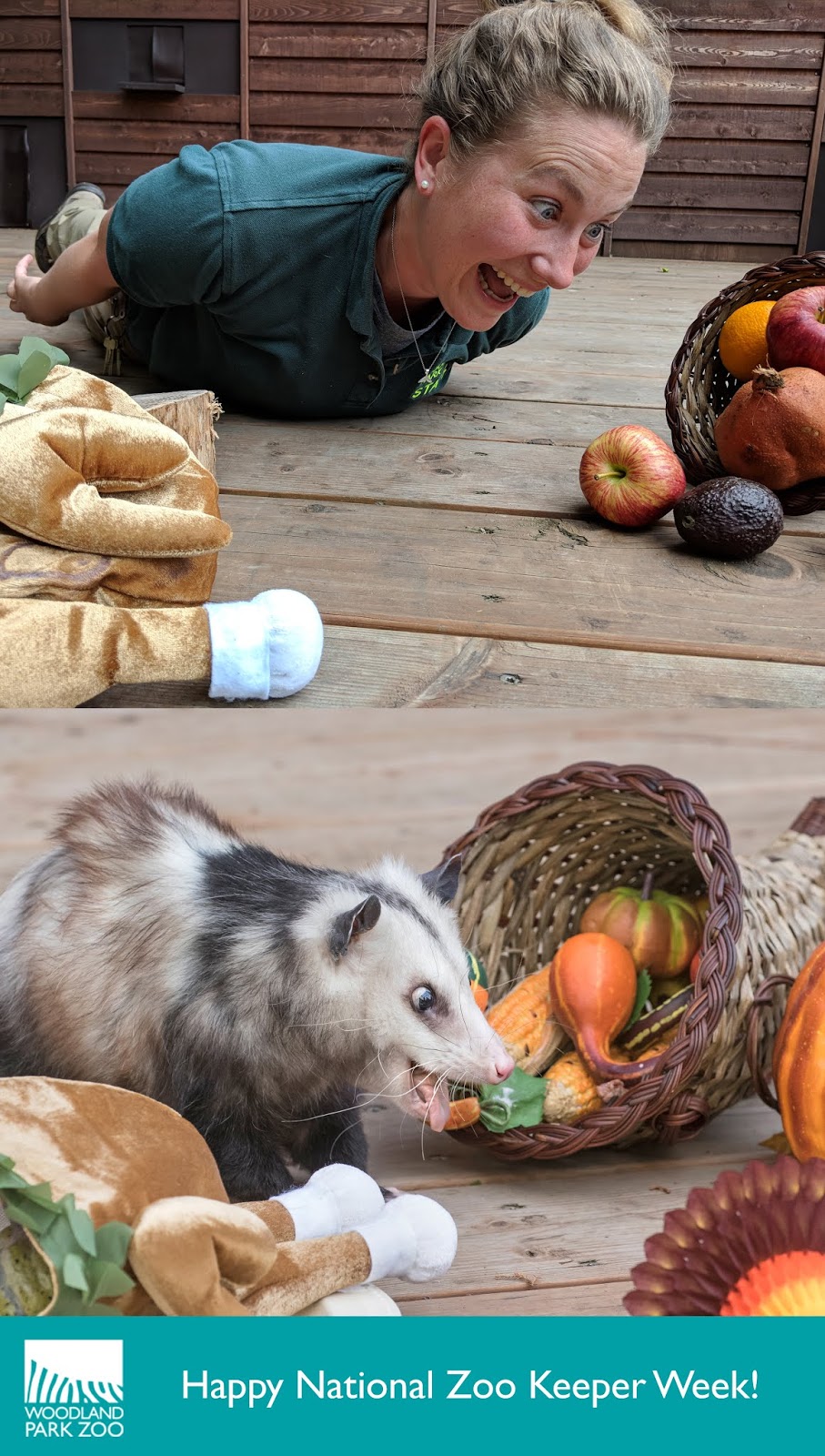 Happy National Zookeeper Week!