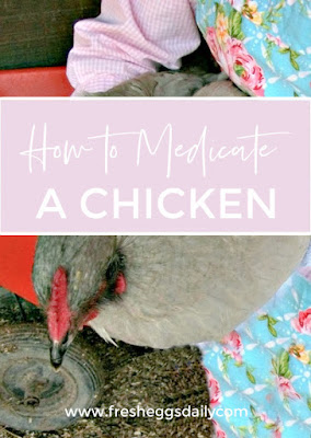 How to Administer Medication to a Chicken - Fresh Eggs Daily® with Lisa ...