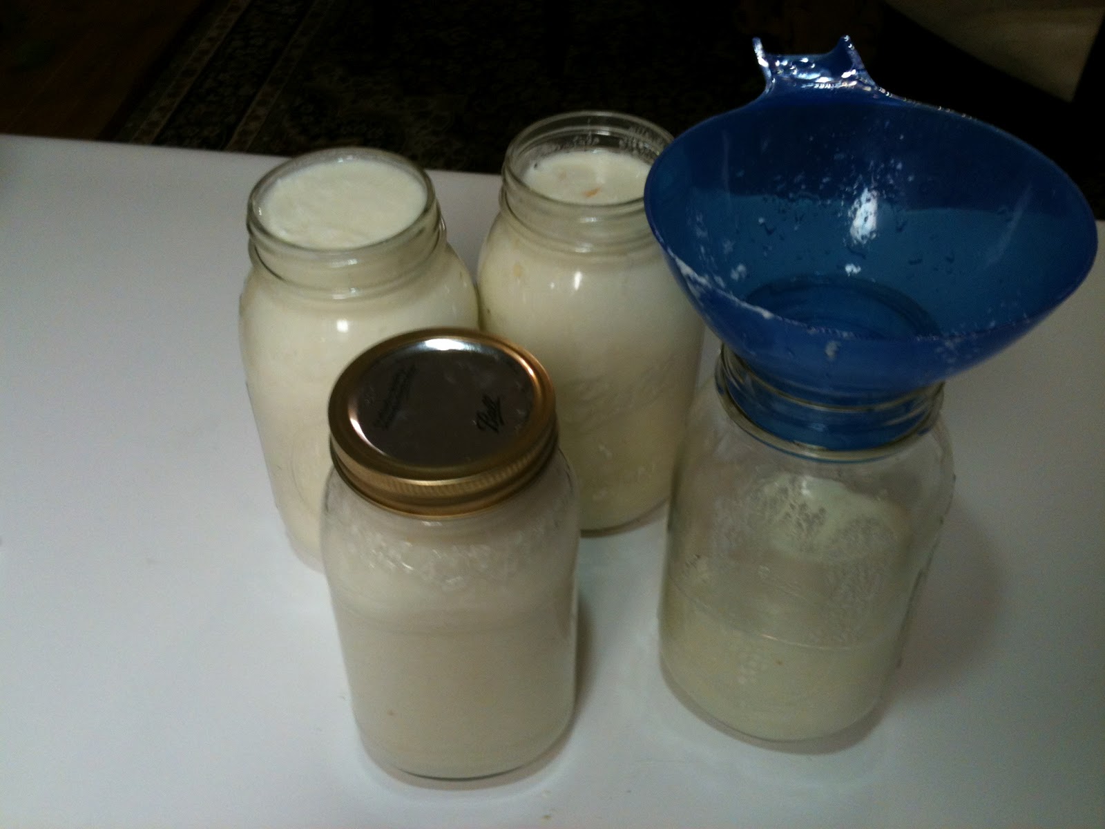 Simply Made By Mama.....Back to Basics: Yogurt, Greek Yogurt, and ...