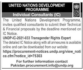 UNDP Jobs - UNDP Careers - UNDP Vacancies - UNDP Recruitment - UNDP ...