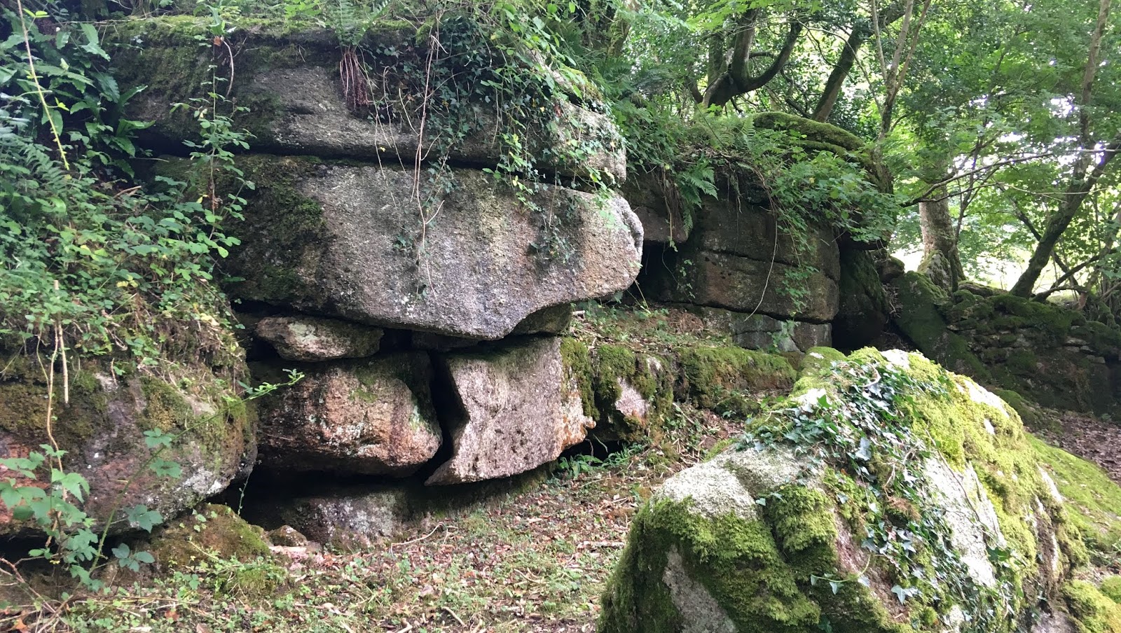 Max Piper - Tor Bagger: Dartmoor: The Two Lesser-Known Tors at Badgers Holt