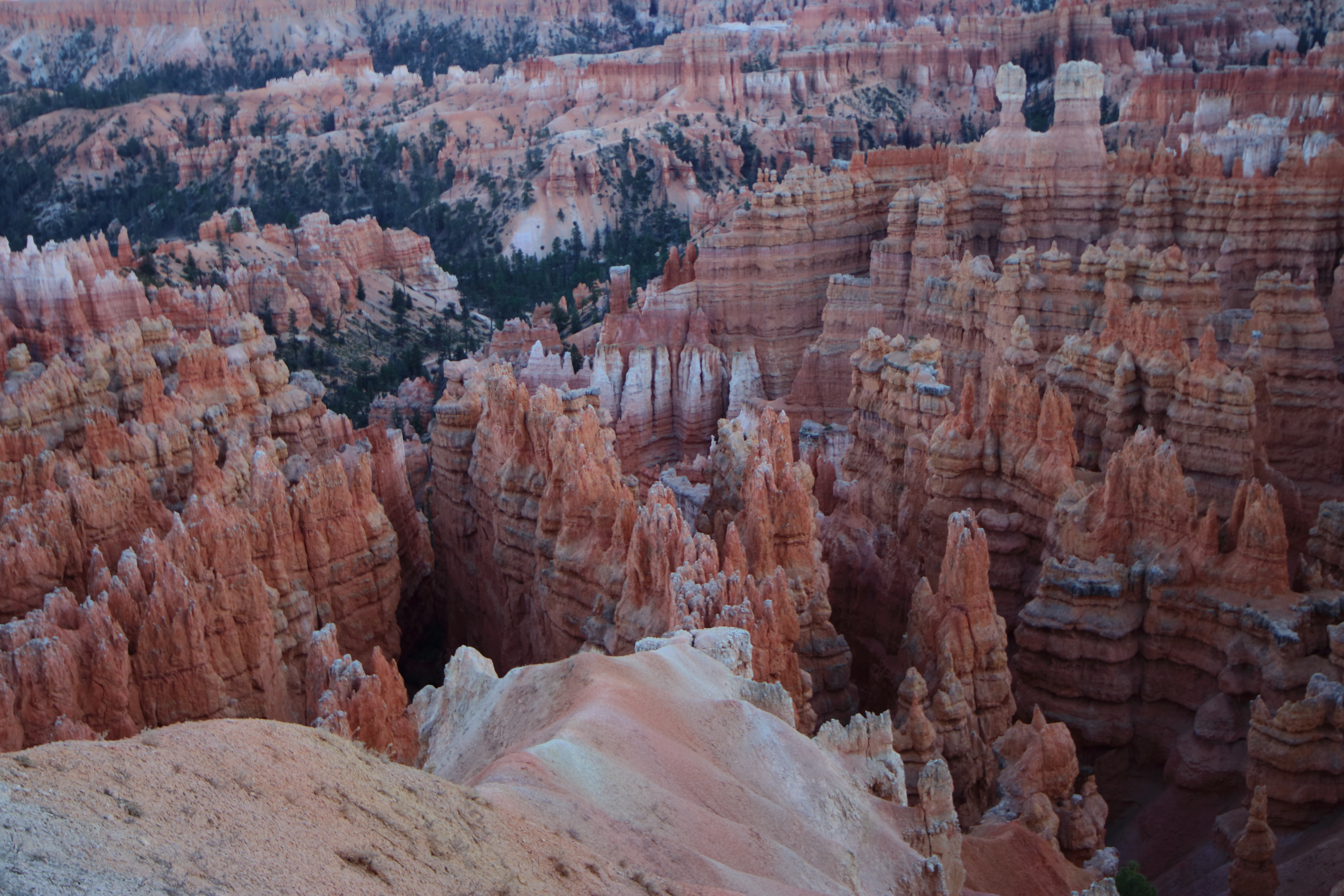 Bryce National Park