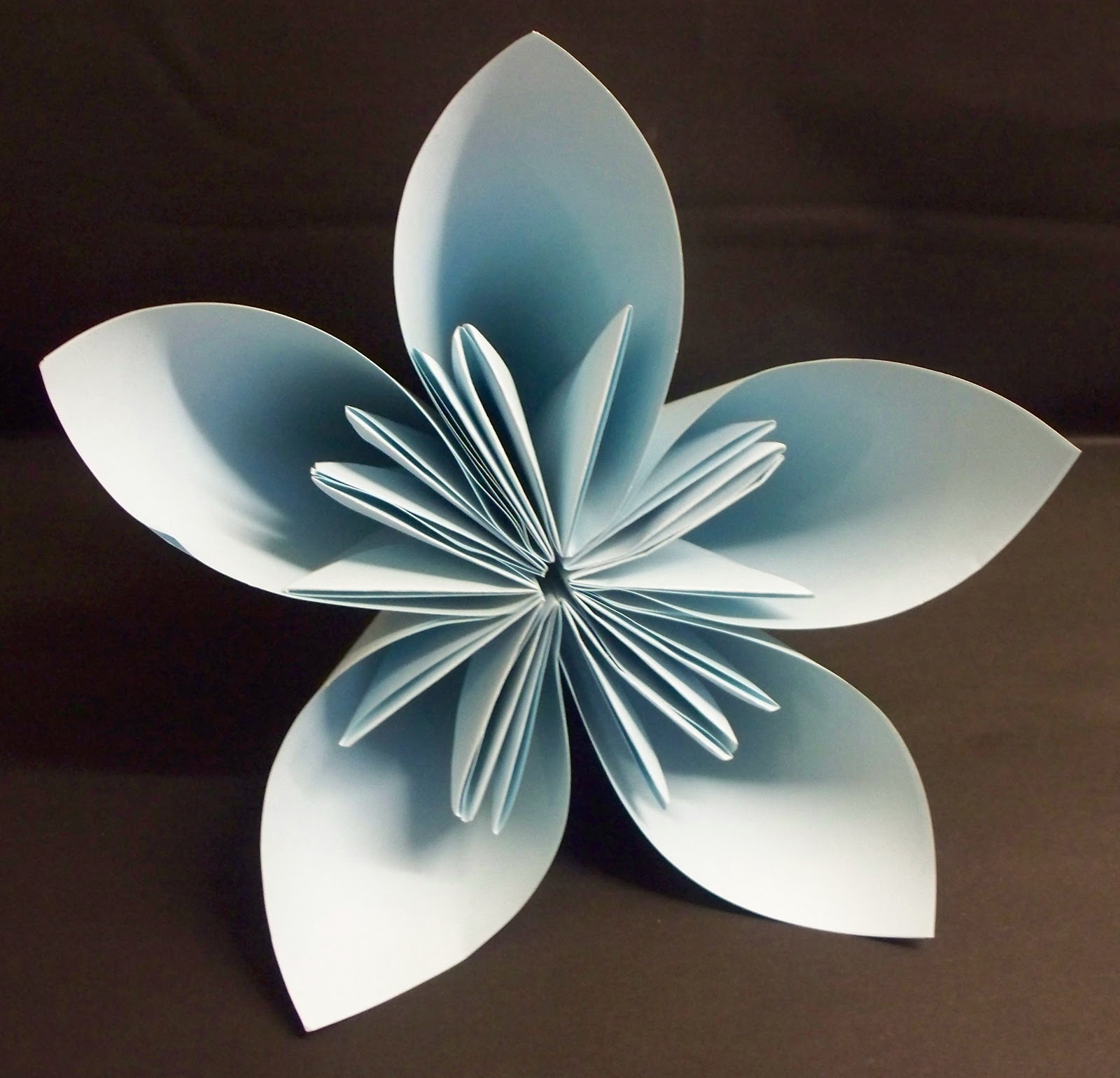 Hannah - Graphic Design: My Flower Models