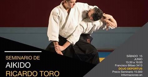 Seminario en Chile, Ricardo Toro Sensei