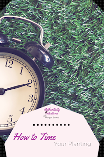 How to Time Your Planting