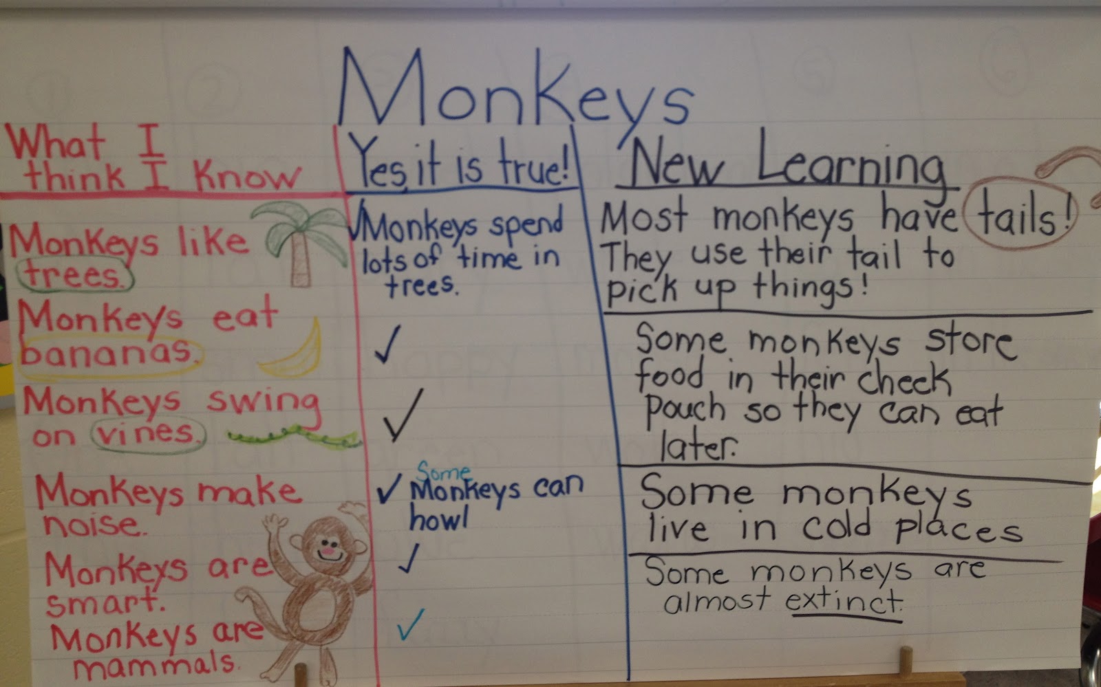 My First Grade Backpack: Monkey Reports