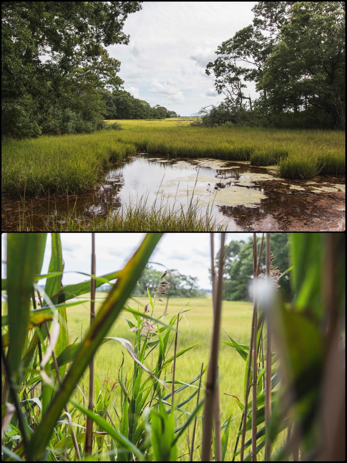 Curiosités et futilités à New York