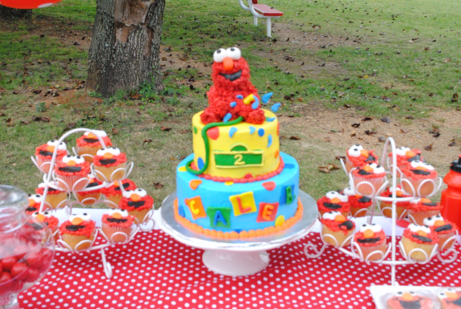 One Wish Away: Sneak Peek: Custom Themed Elmo Birthday Bash
