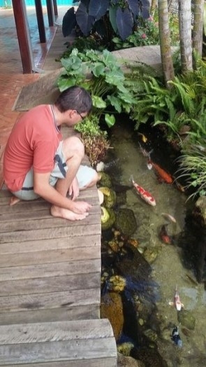 47 Beautiful Fishpond Design for Backyard | ARA HOME