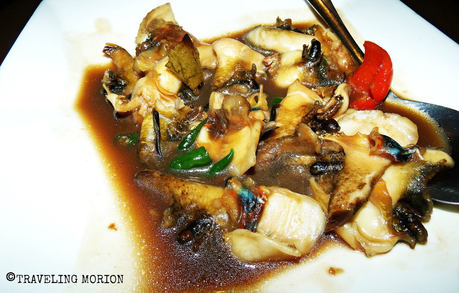 AGUSAN DEL SUR: TRIP TO AGUSAN DEL SUR