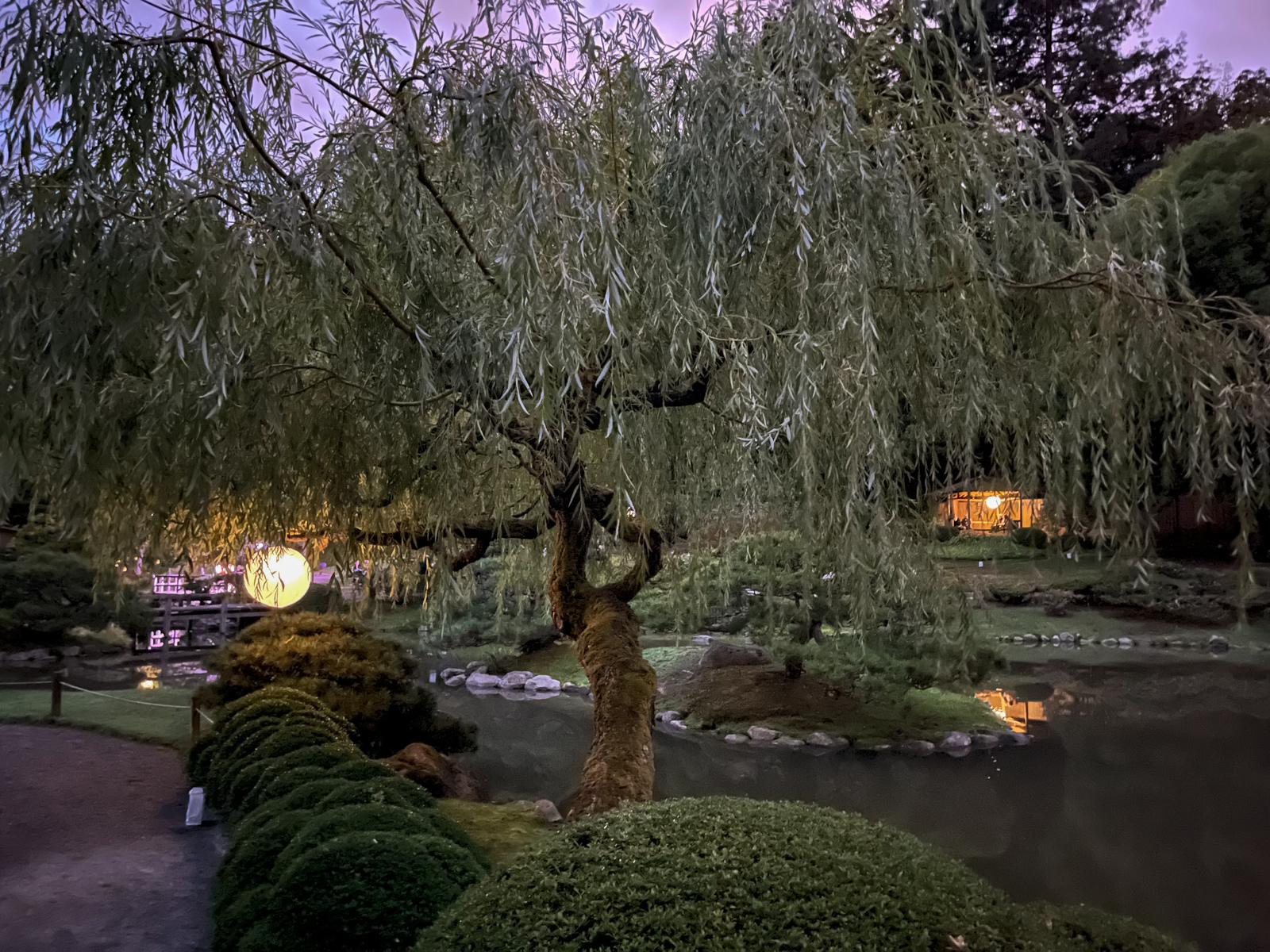 Seattle Japanese Garden Community Blog