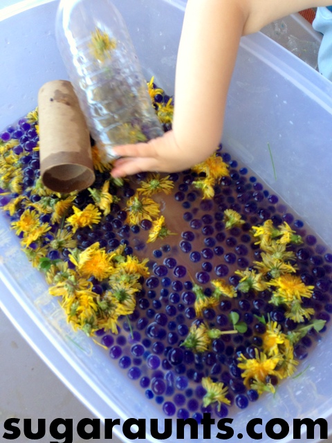 Outdoor Dandelion Messy Water Play - The OT Toolbox