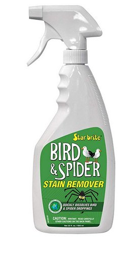 INTERESTING THINGS: How to Clean Spider Droppings Off of the House