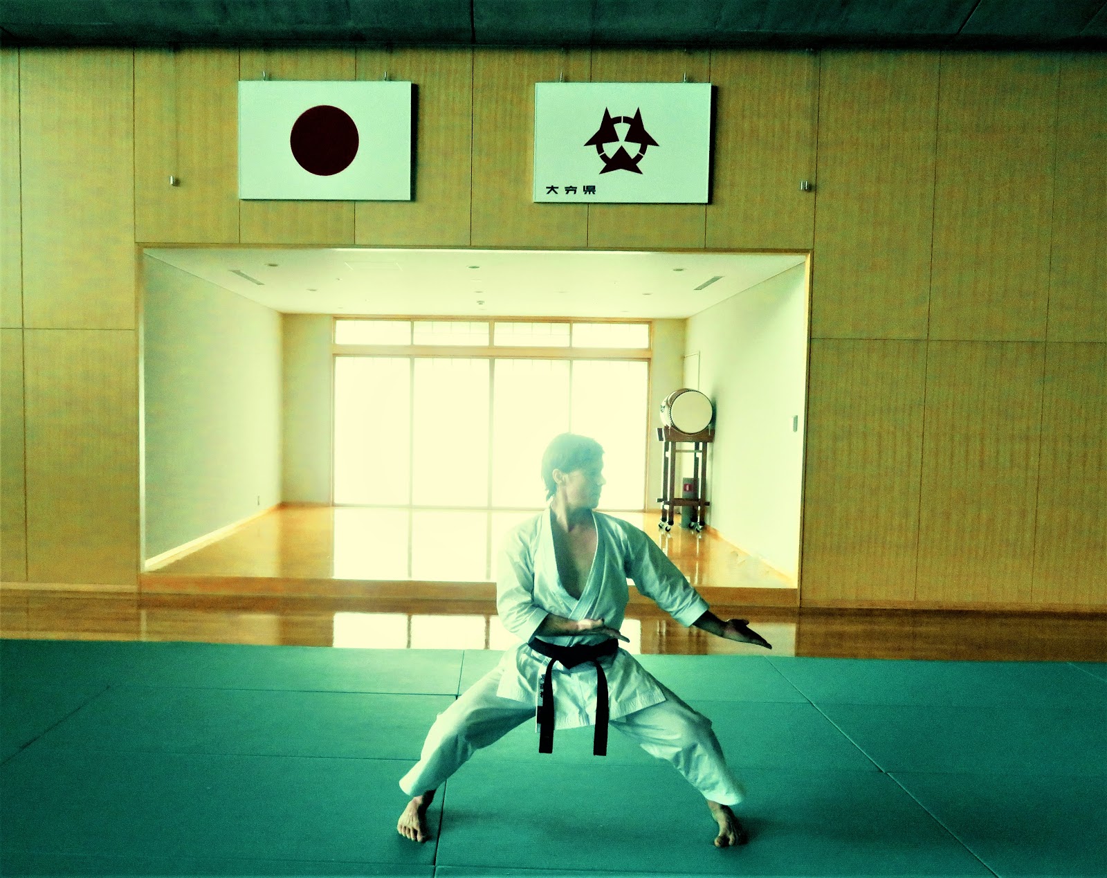 André Bertel's Karate-Do: The Kinetic Chain